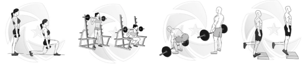 Musculation et natation : exercices et programme - SPORTSULTING